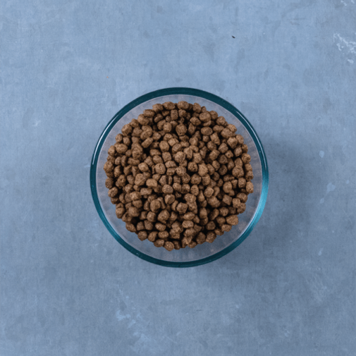 Alimento Para Gato Evolve Grain-Free Pollo - Puppis