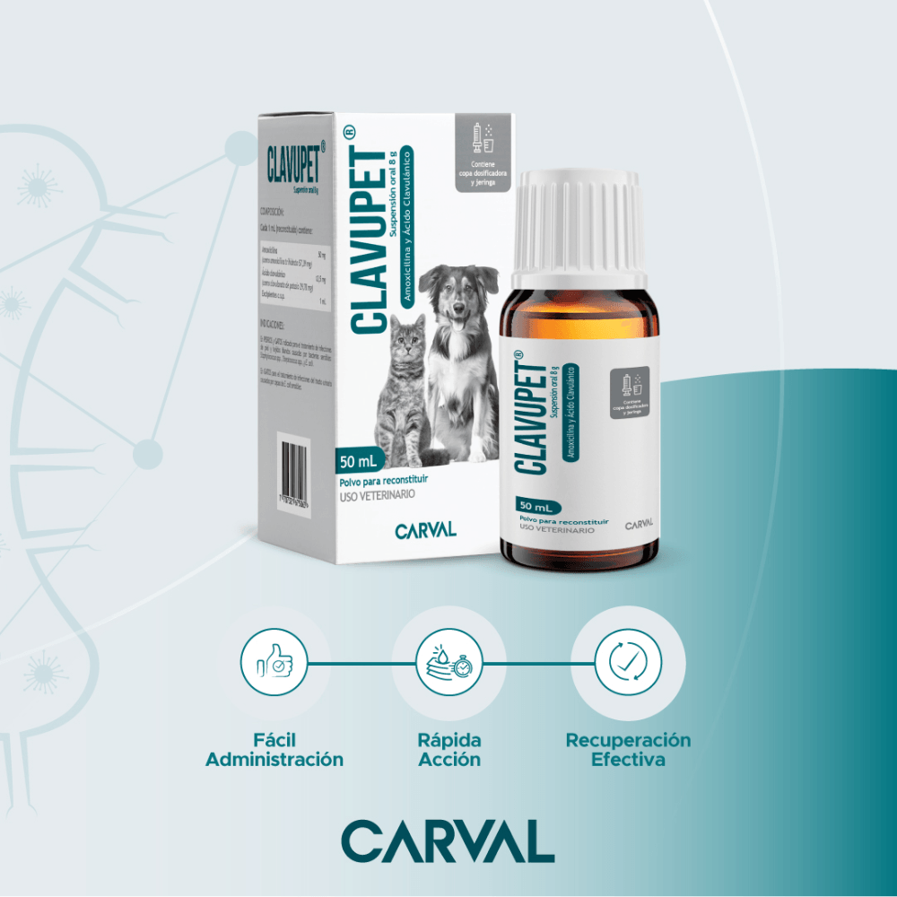 Carval Medicamento Antibiótico Para Mascotas Clavupet - Puppis