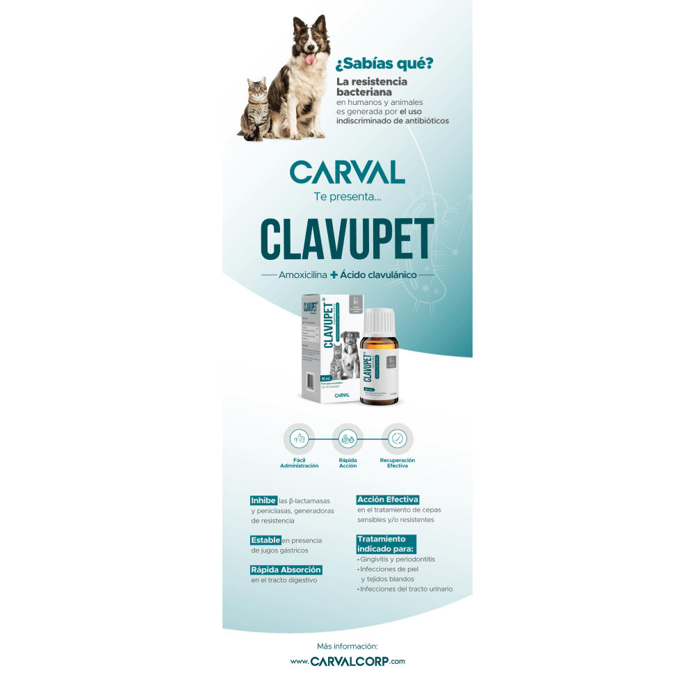 Carval Medicamento Antibiótico Para Mascotas Clavupet - Puppis